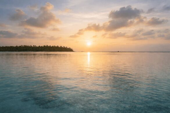 The Flag of the Maldives: A Symbol of National Identity & Pride
